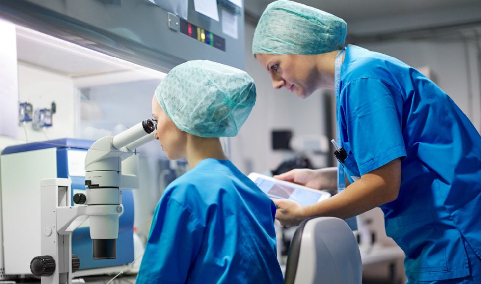 Oocyte collection and cumulus removal TC – Embryolab Academy